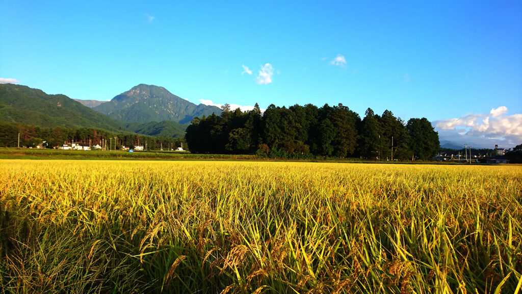 9月の安曇野風景写真館 - shin MIC